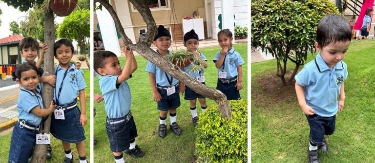 Van Mahotsav – The festival of forests! – Small Wonders School